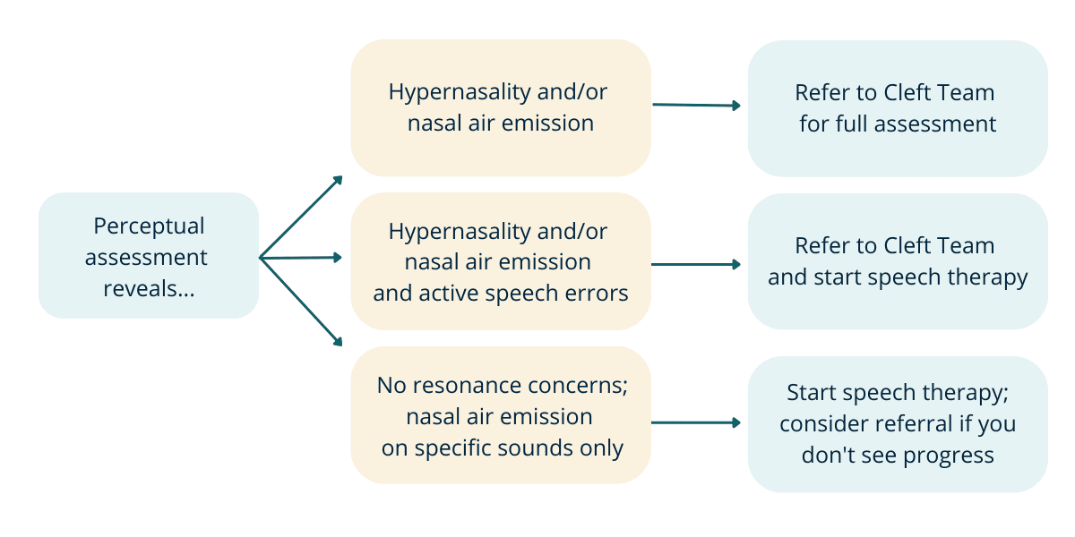 Speech therapy for cleft palate, Part One: Assessment and Referrals